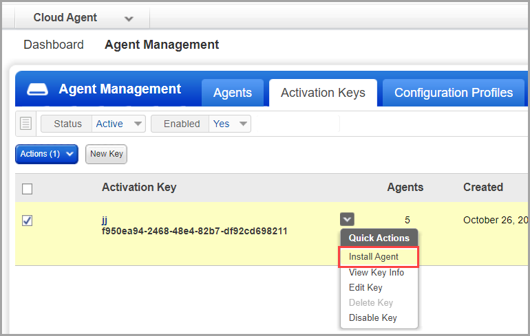 Install OCI BYOL Agent